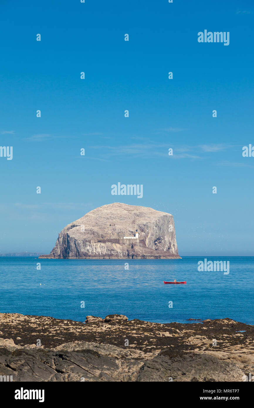 Bass Rock Near North Berwick East Lothian Scotland Stock Photo - Alamy
