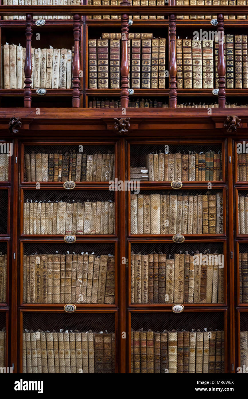 Biblioteca Palafoxiana, the first public library in colonial Mexico ...