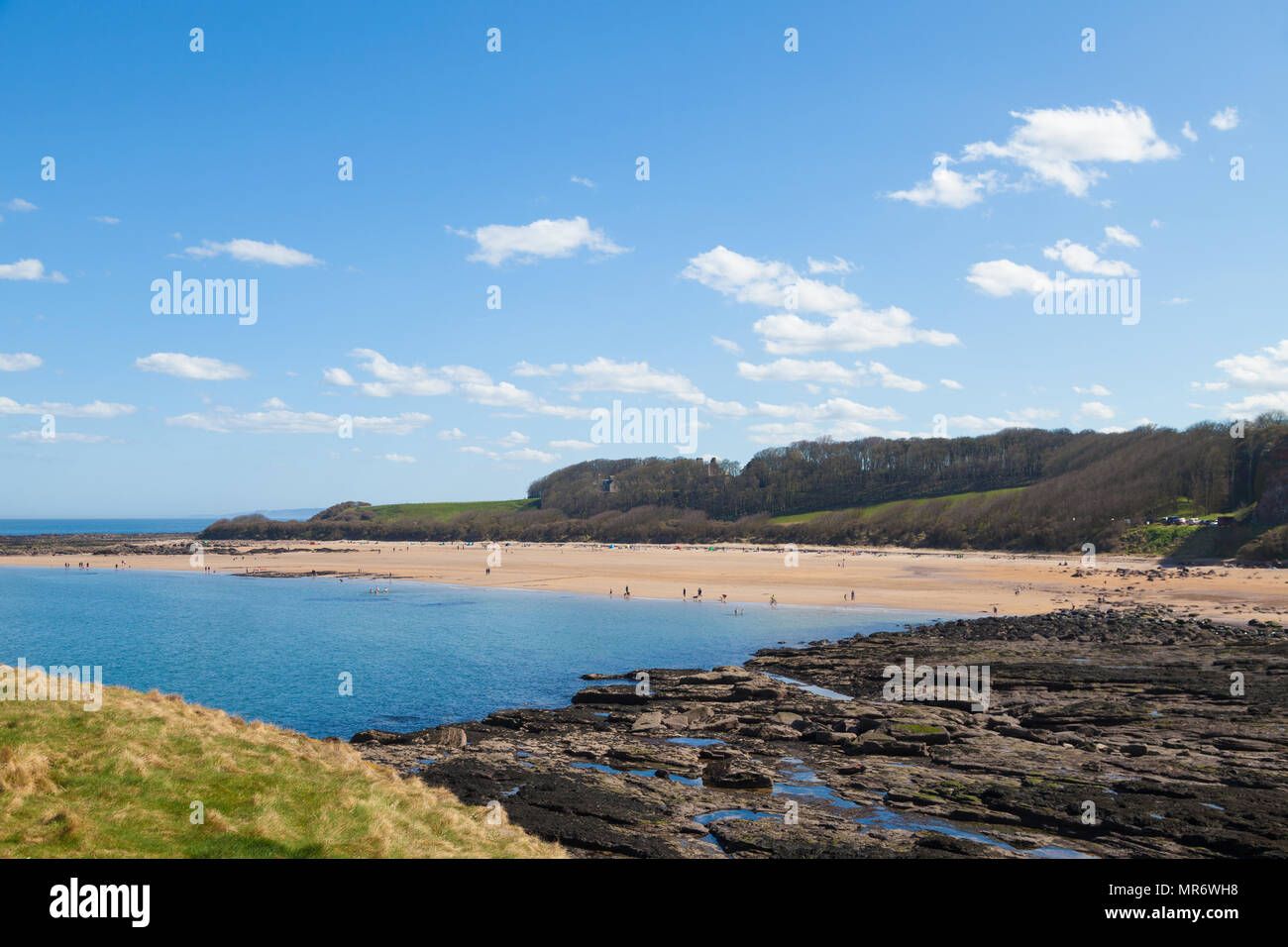 Scotland seacliff beach hi-res stock photography and images - Alamy