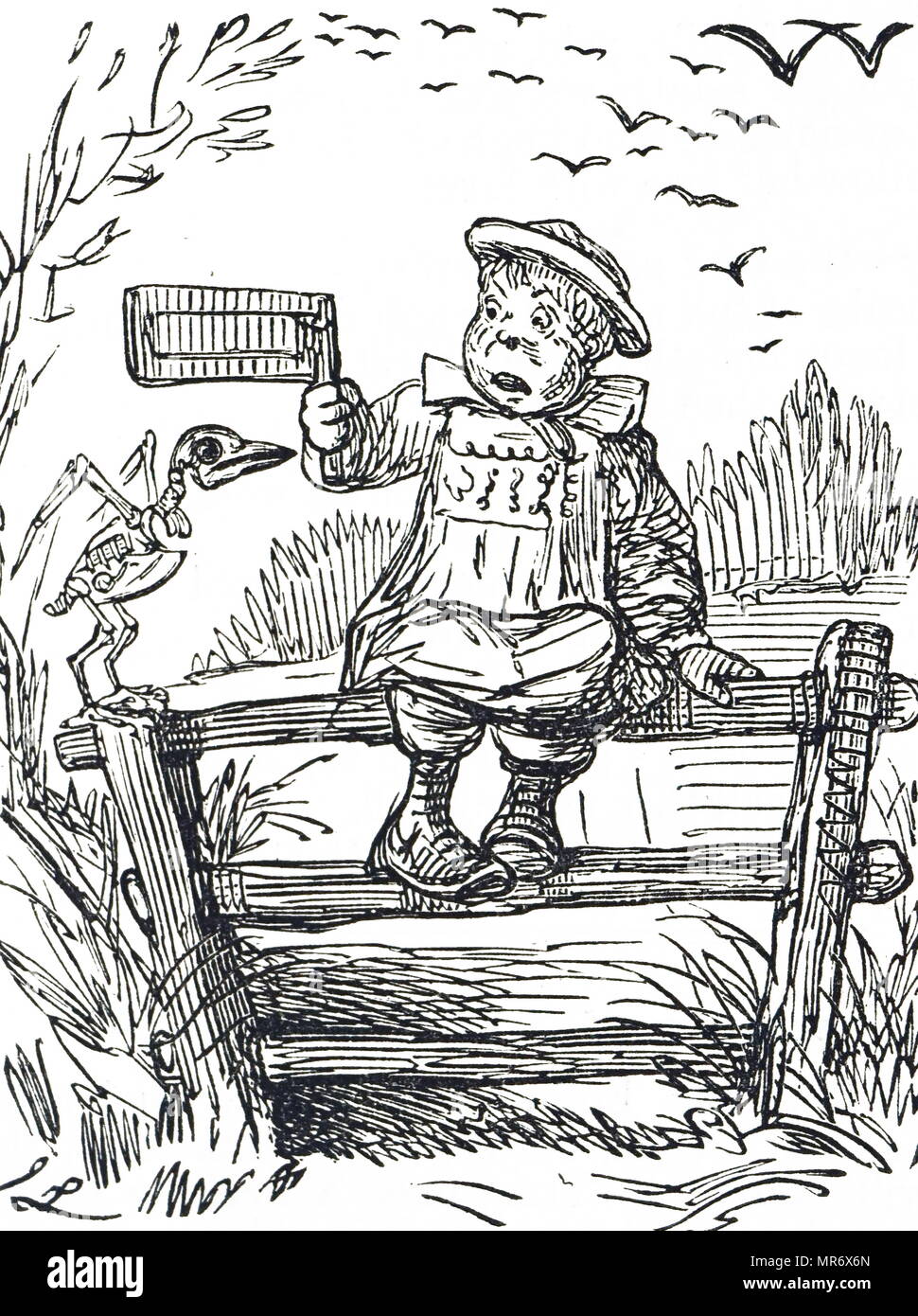 Boy bird scaring hi-res stock photography and images - Alamy