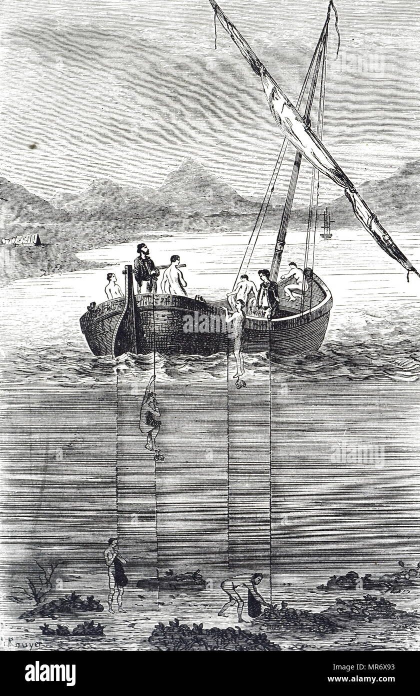 Diving in ceylon for pearls hi-res stock photography and images - Alamy