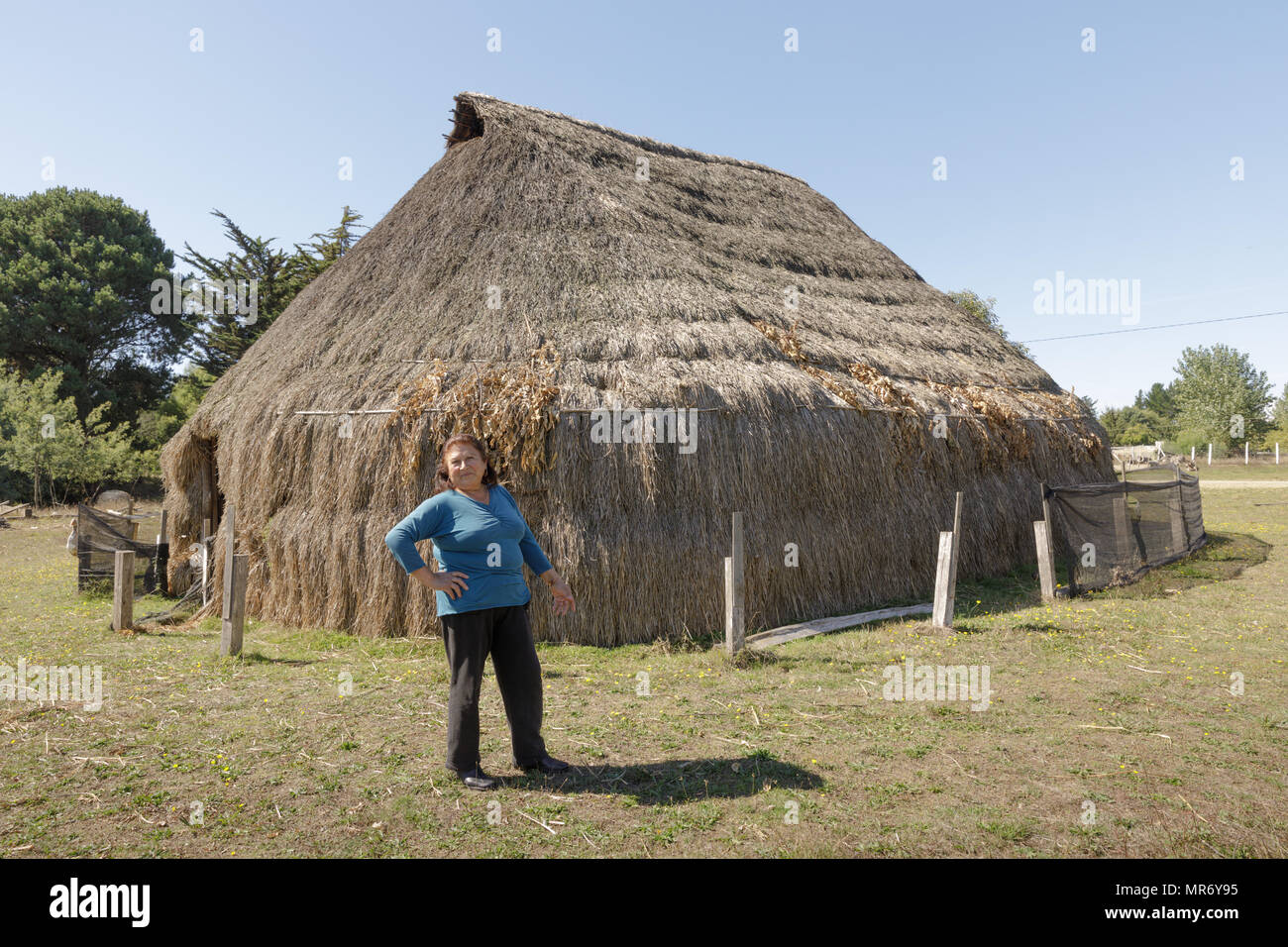 Cholchol, La Araucania, Chile: Mapuche woman stands in front of a ...