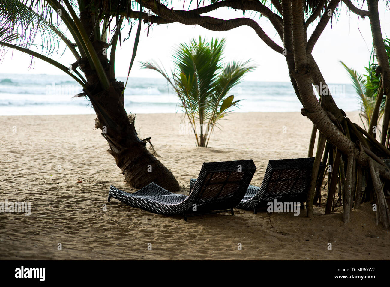 luxury sunbeds under tropical trees on beach Stock Photo - Alamy