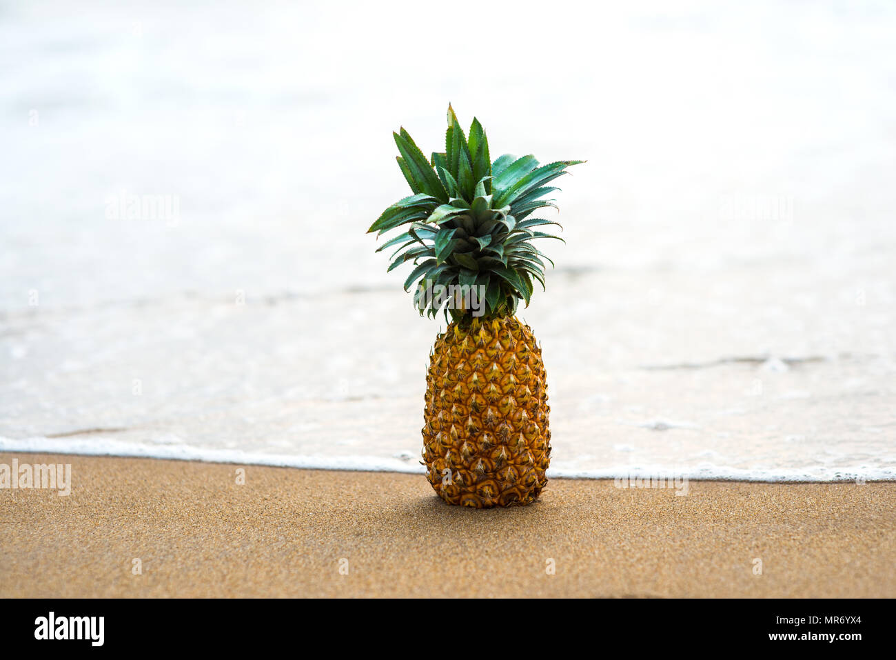 pineapple standing on sandy beach in front of sea Stock Photo - Alamy