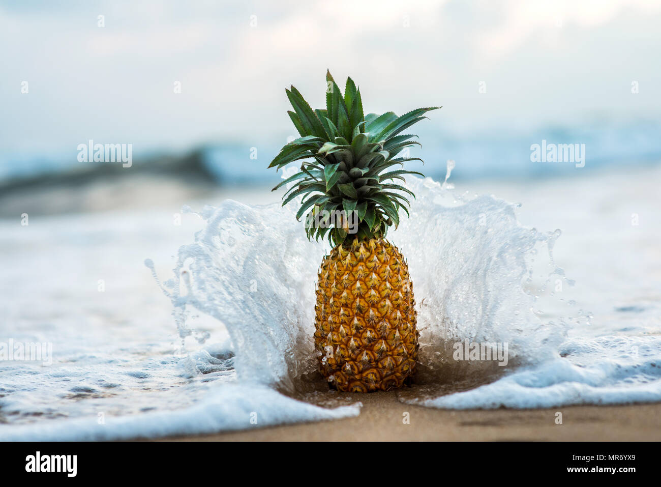 pineapple standing on seashore with water splashes around Stock Photo ...