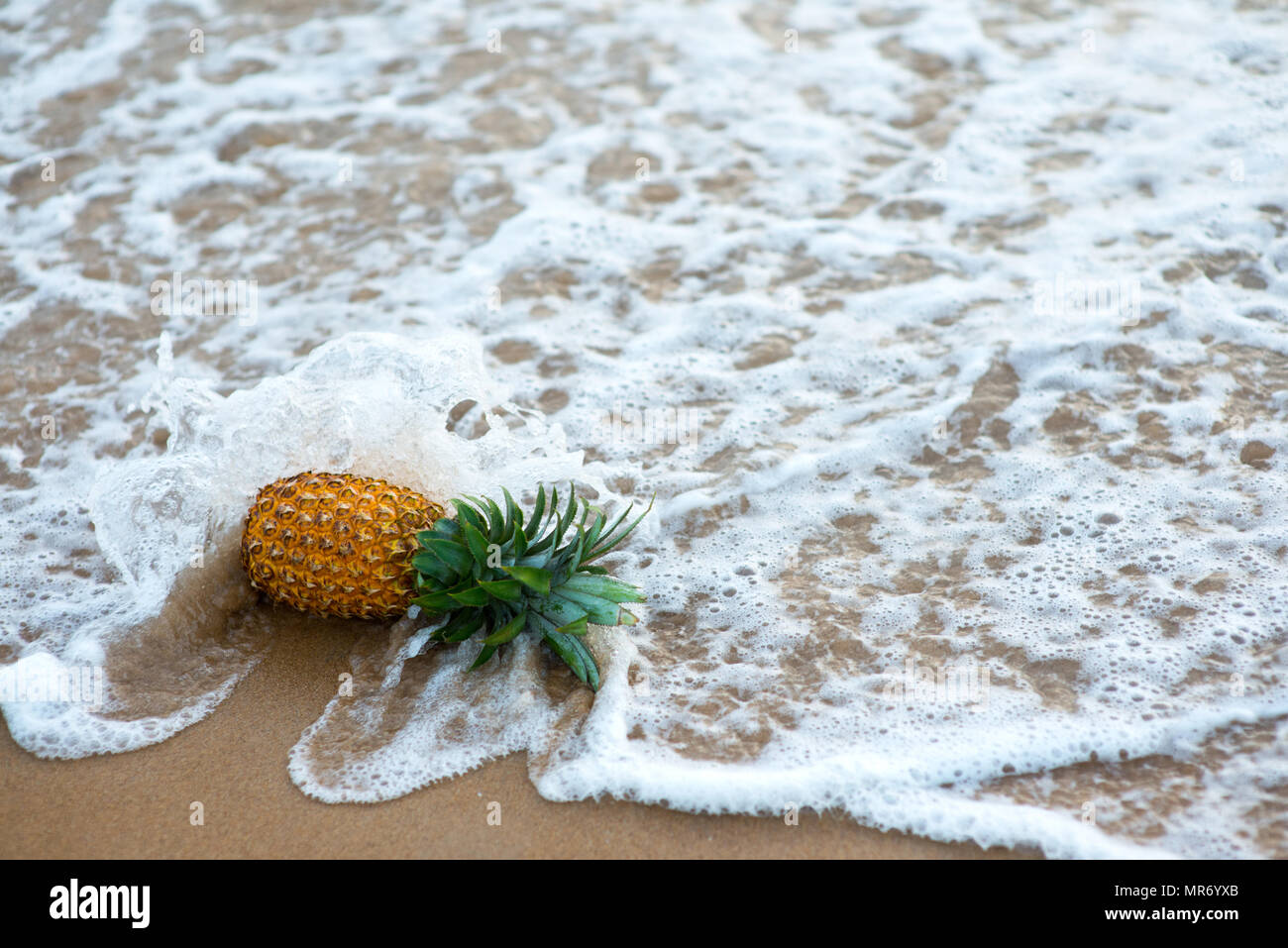 pineapple on sandy beach fallen by ocean wave Stock Photo - Alamy