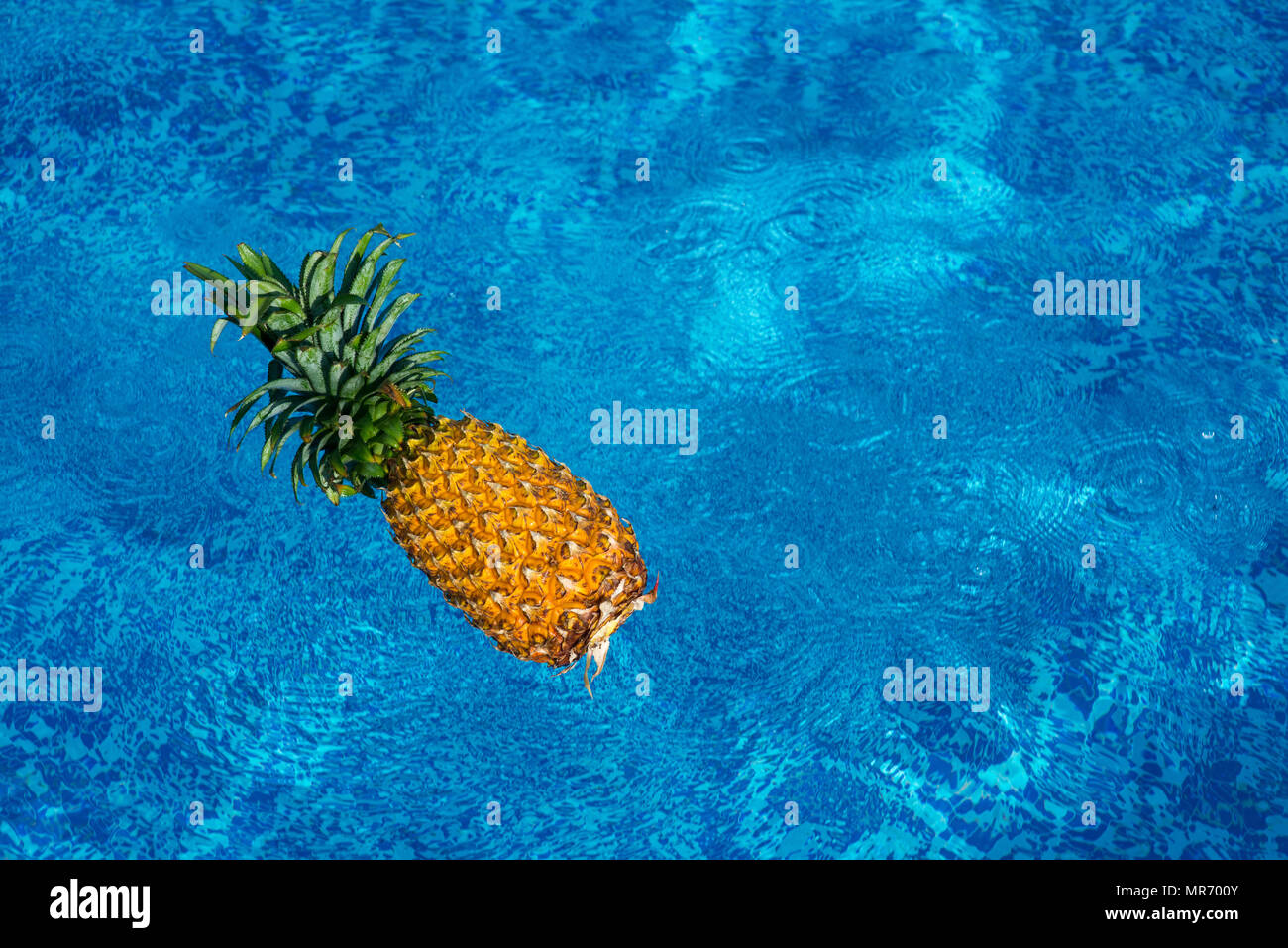 pineapple floating in blue water of swimming pool Stock Photo - Alamy