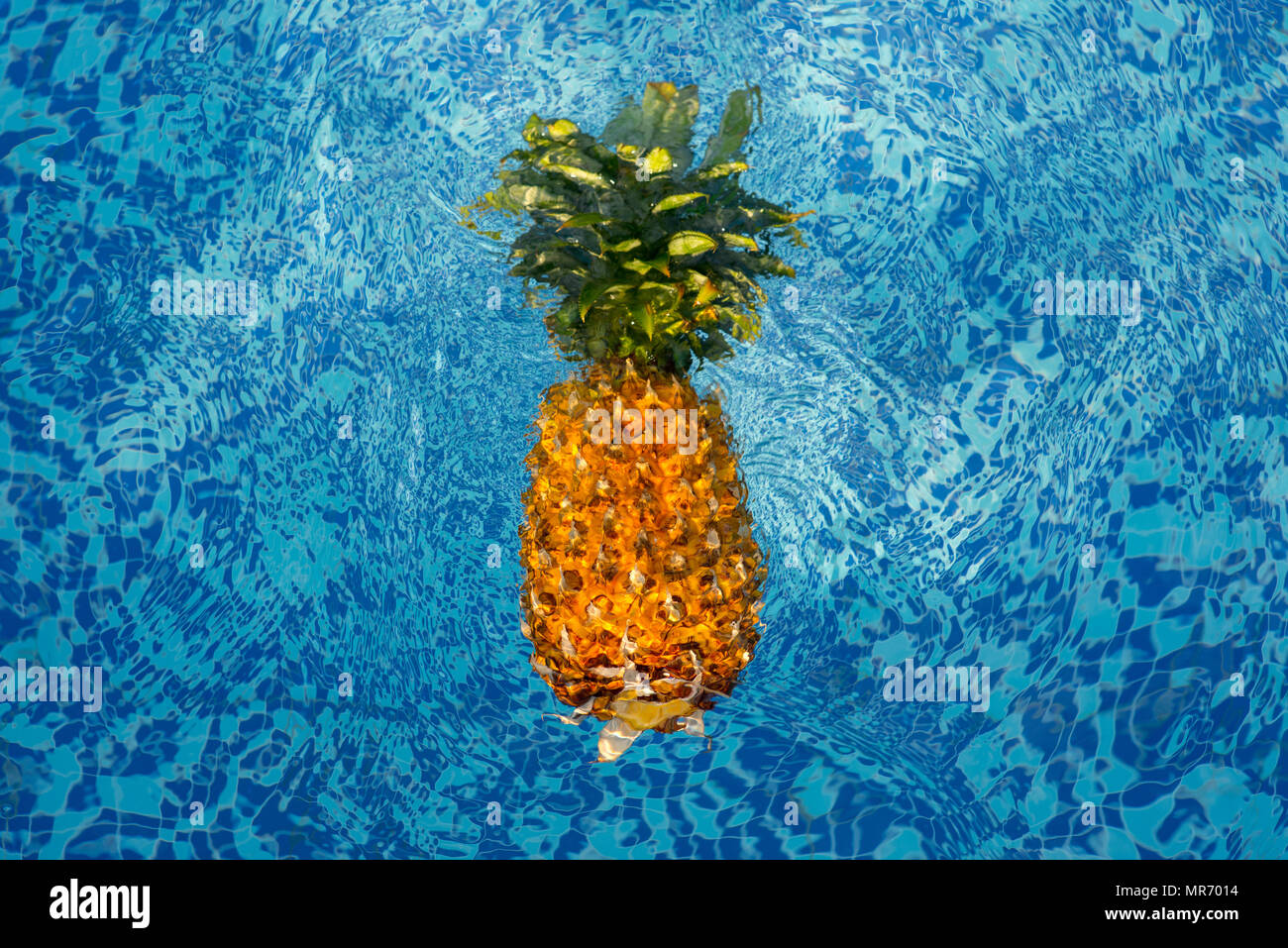 pineapple floating in blue water of swimming pool Stock Photo - Alamy