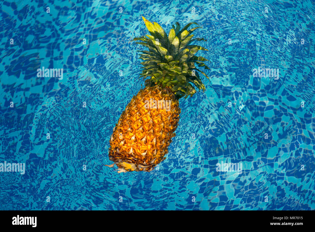 pineapple floating in blue water of swimming pool Stock Photo - Alamy