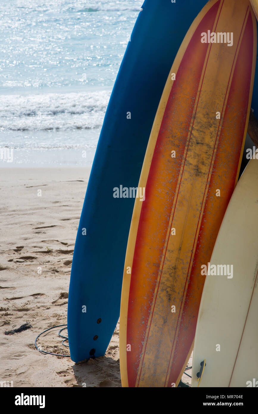 Row of blue surfboards hi-res stock photography and images - Alamy