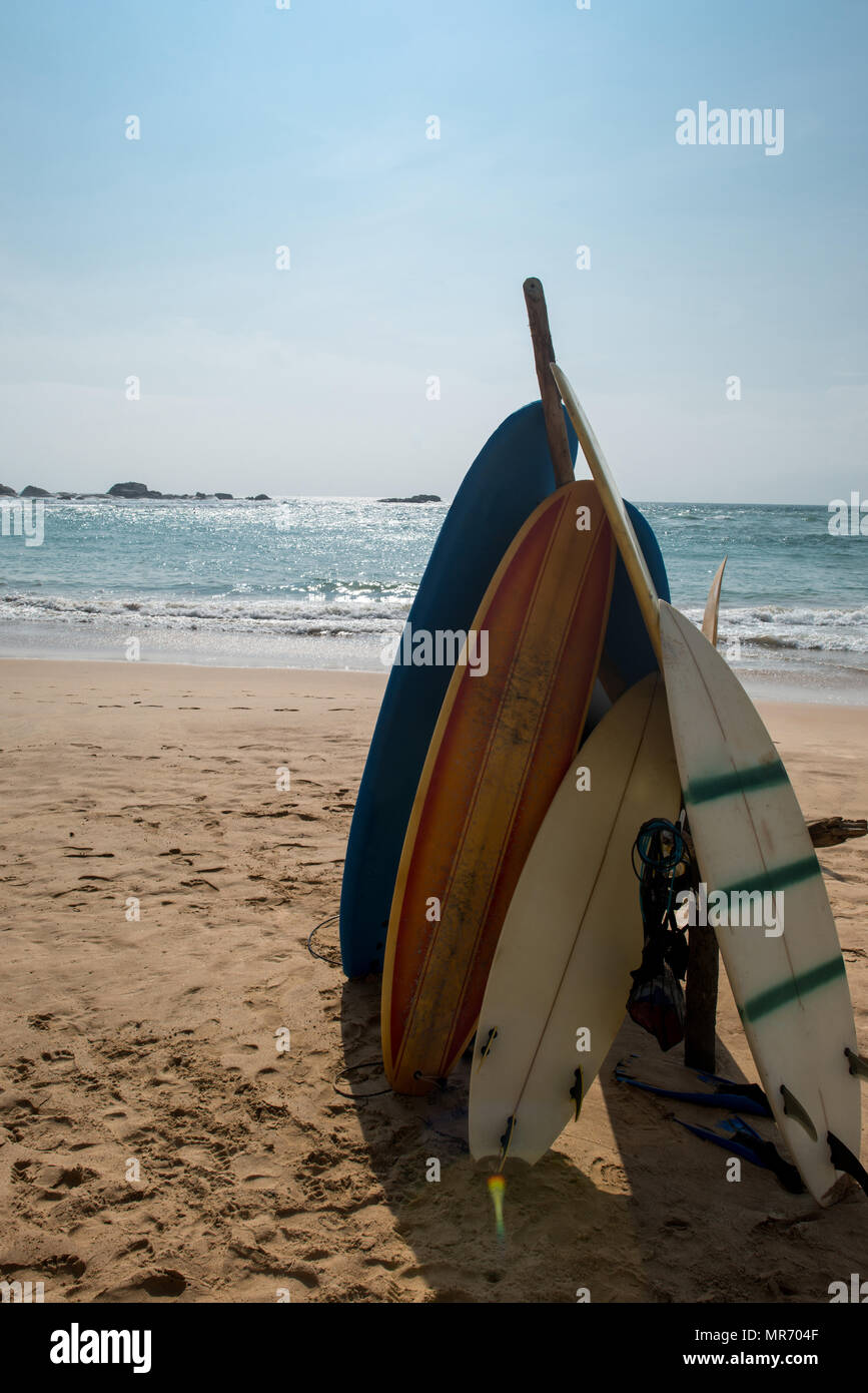 surfboards standing in row on beautiful sandy beach Stock Photo - Alamy