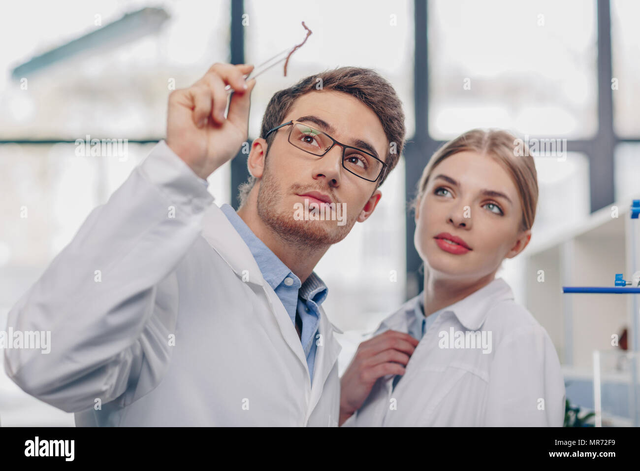 Biologists hi-res stock photography and images - Alamy