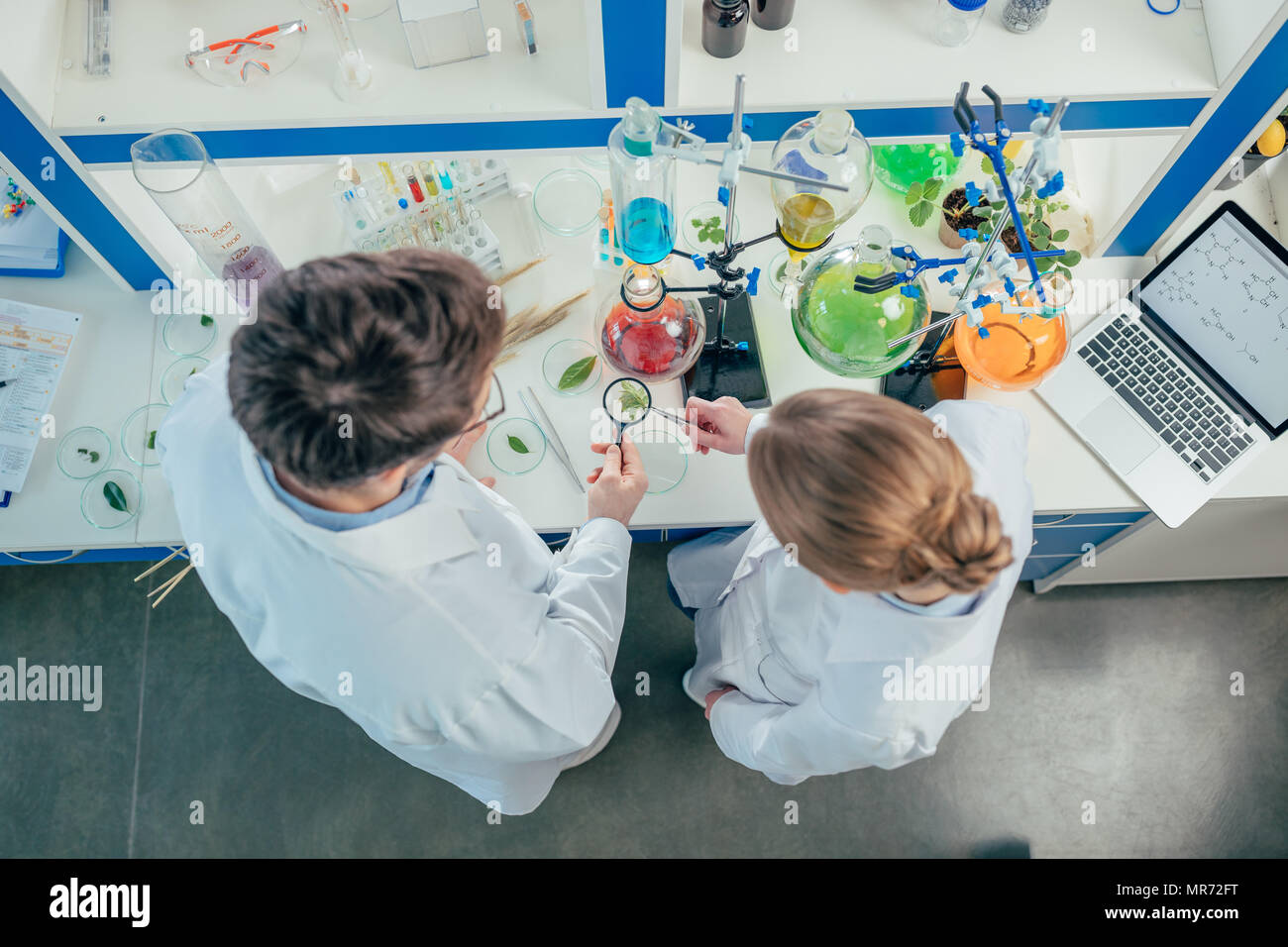Biologists working together hi-res stock photography and images - Alamy
