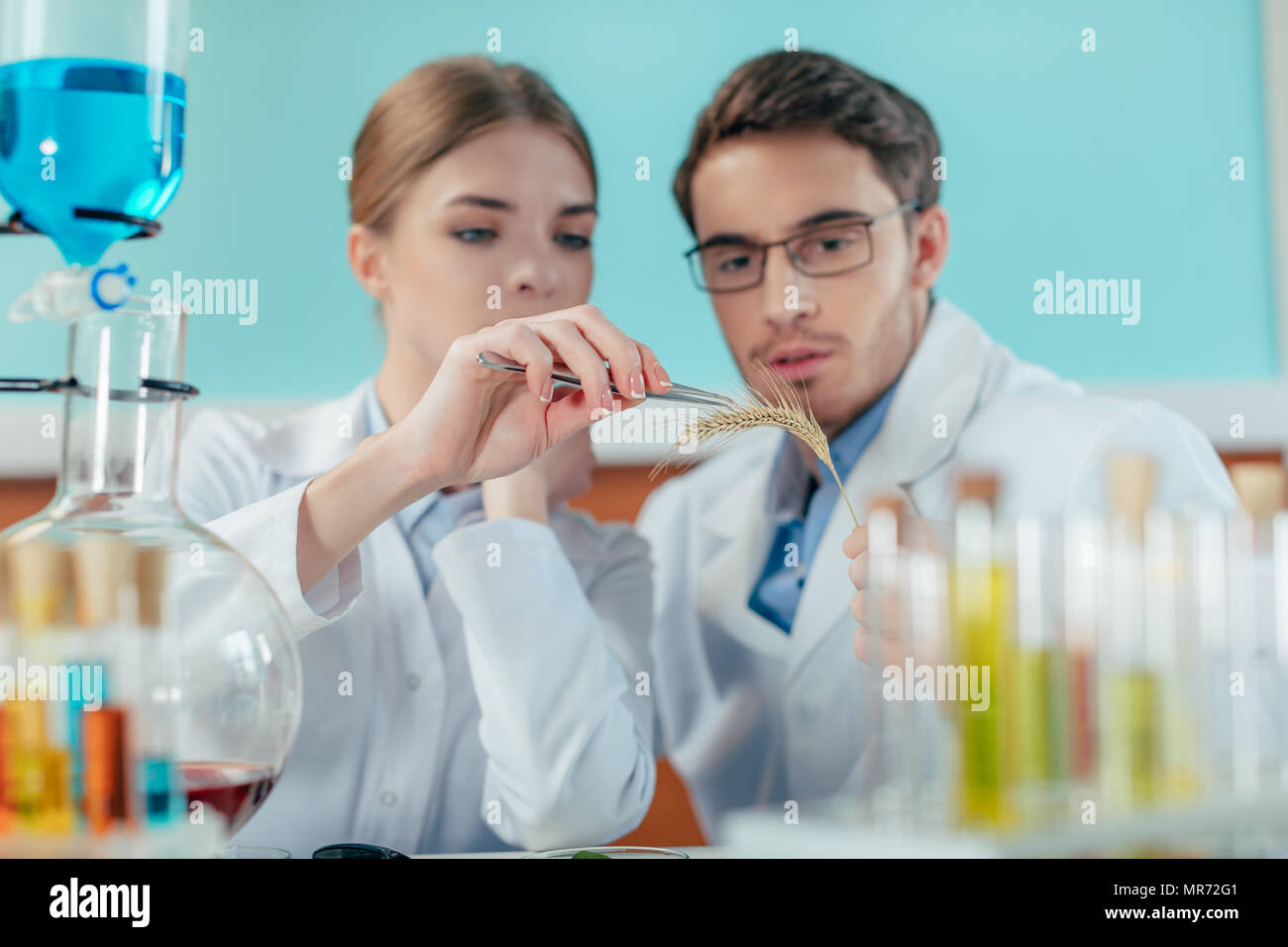 Biologists working together hi-res stock photography and images - Alamy