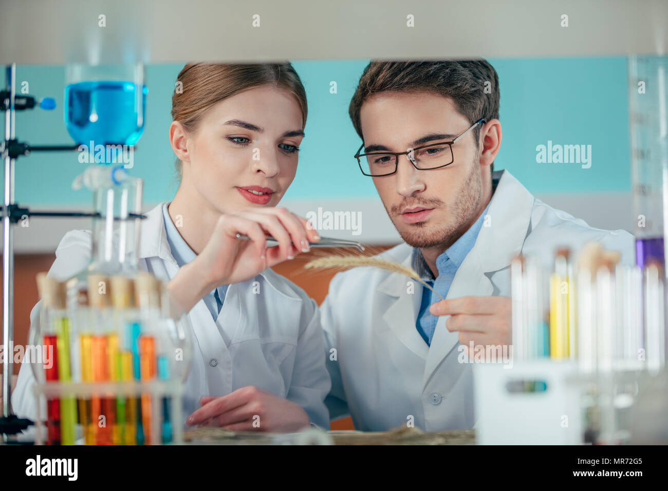 Two biologists work in lab hi-res stock photography and images - Alamy