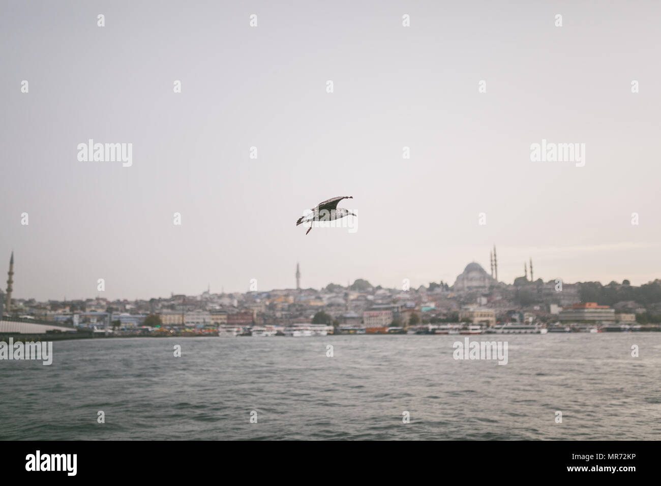 Bay of istanbul hi-res stock photography and images - Alamy