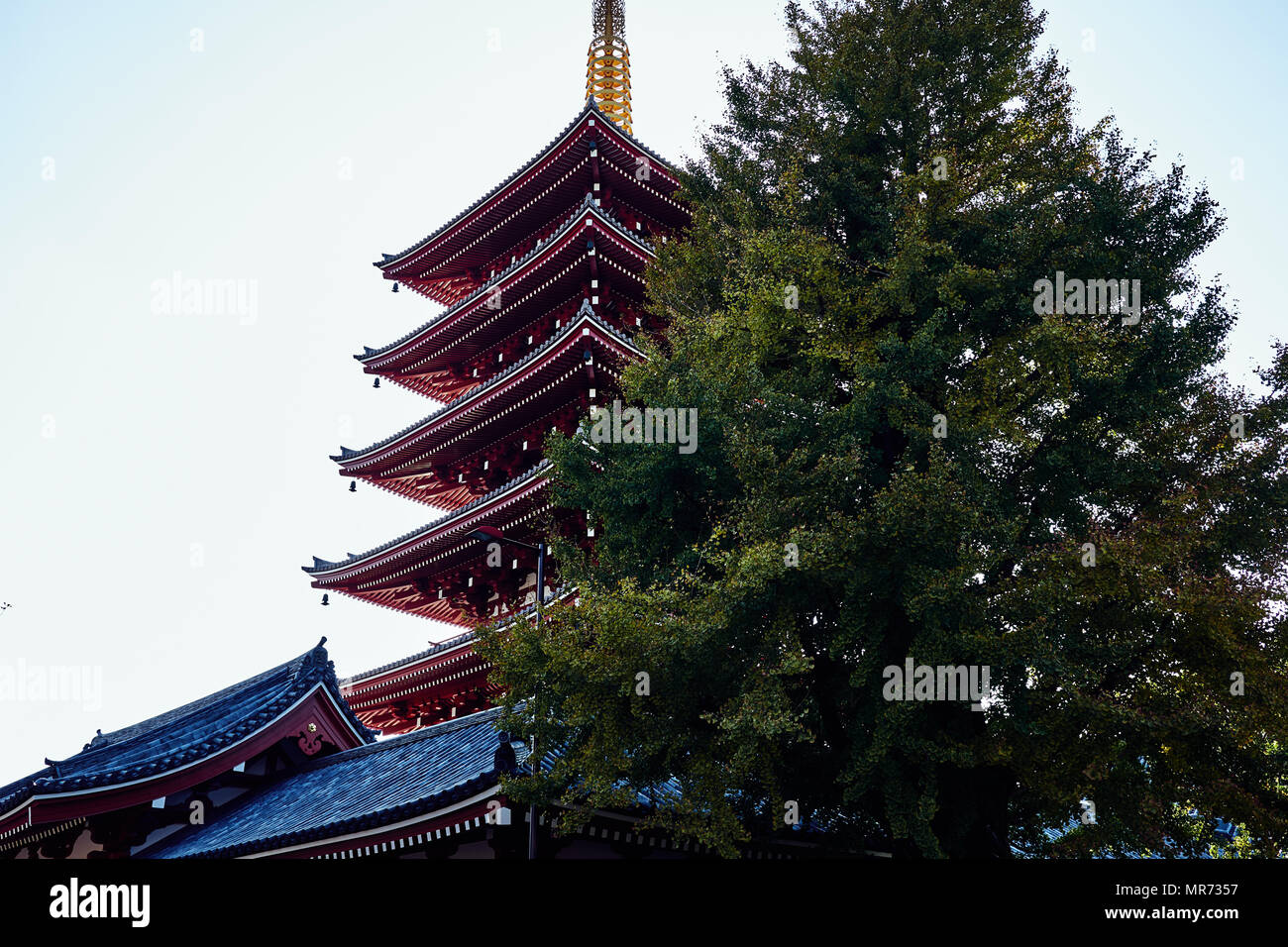 Sensoji, Asakusa Kannon Temple, Tokyo, Japan Stock Photo - Alamy