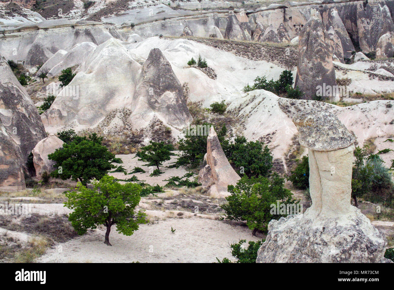 spectacular rock formations called fairy chimneys in the valley of ...