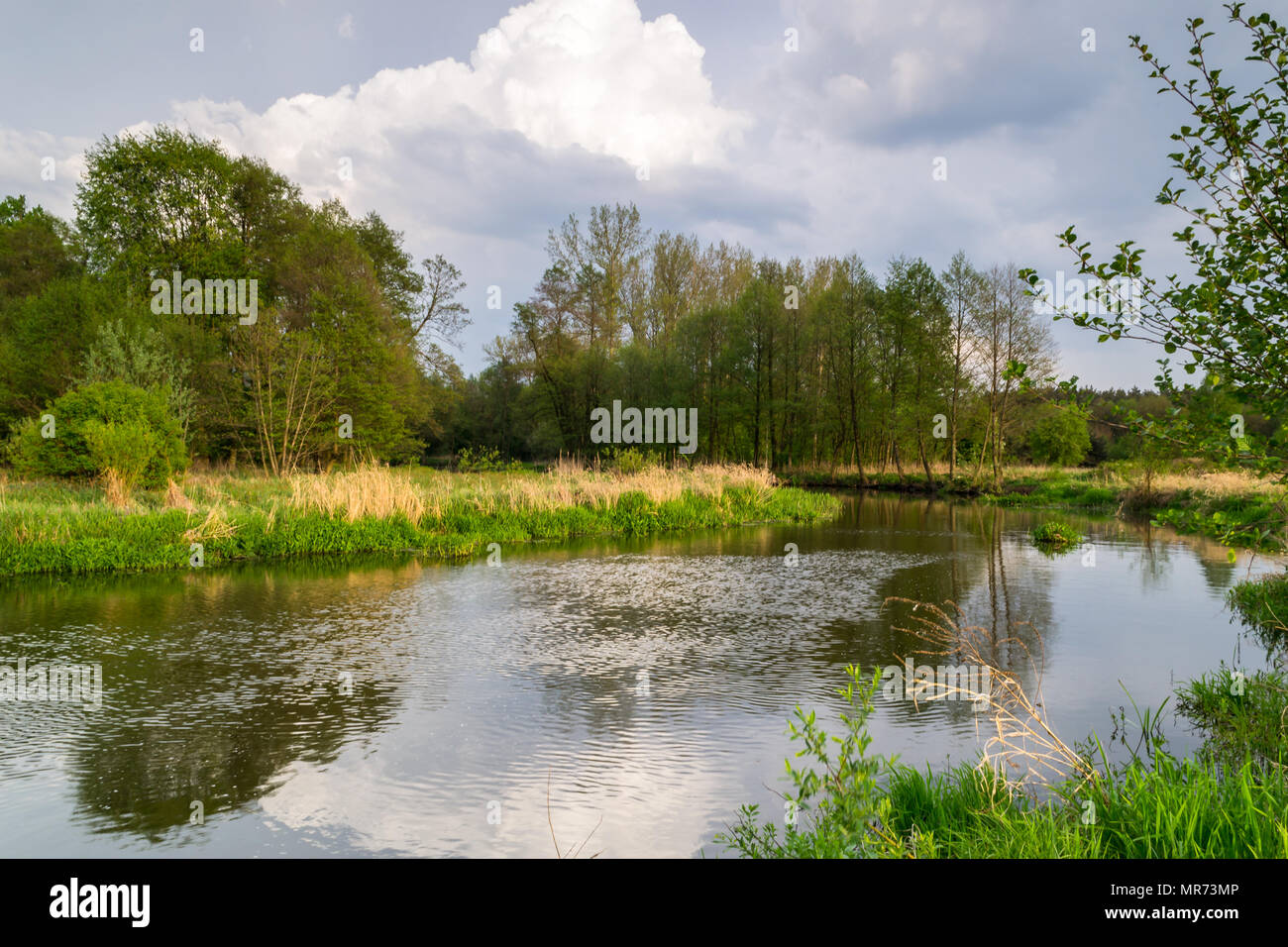 River in the spring sun Stock Photo - Alamy