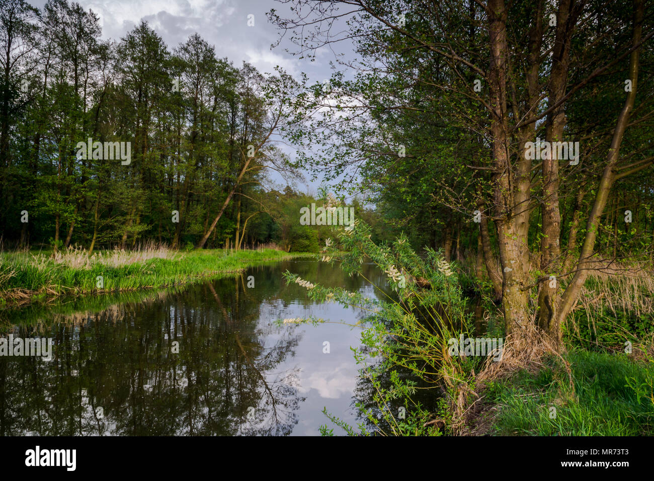 Spring current hi-res stock photography and images - Alamy