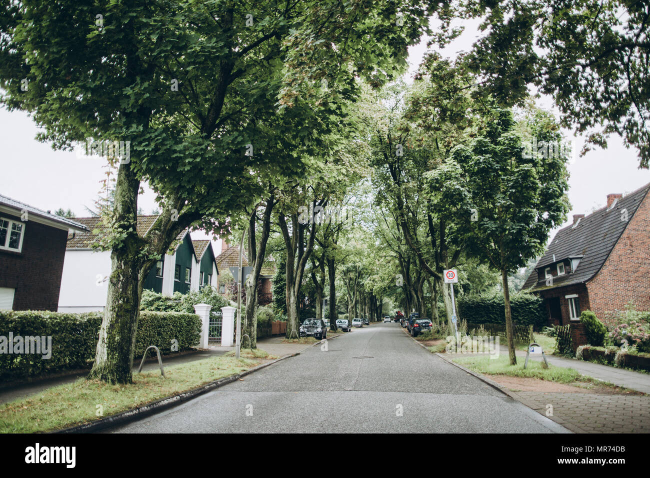 urban scene of street with green trees and buildings in hamburg ...