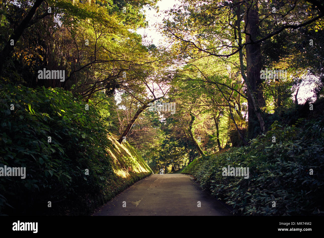 Quiet natural park hi-res stock photography and images - Alamy