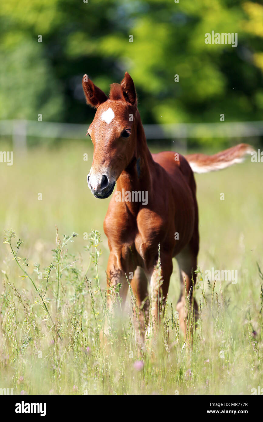 Baby mother sunbathing hi-res stock photography and images - Alamy