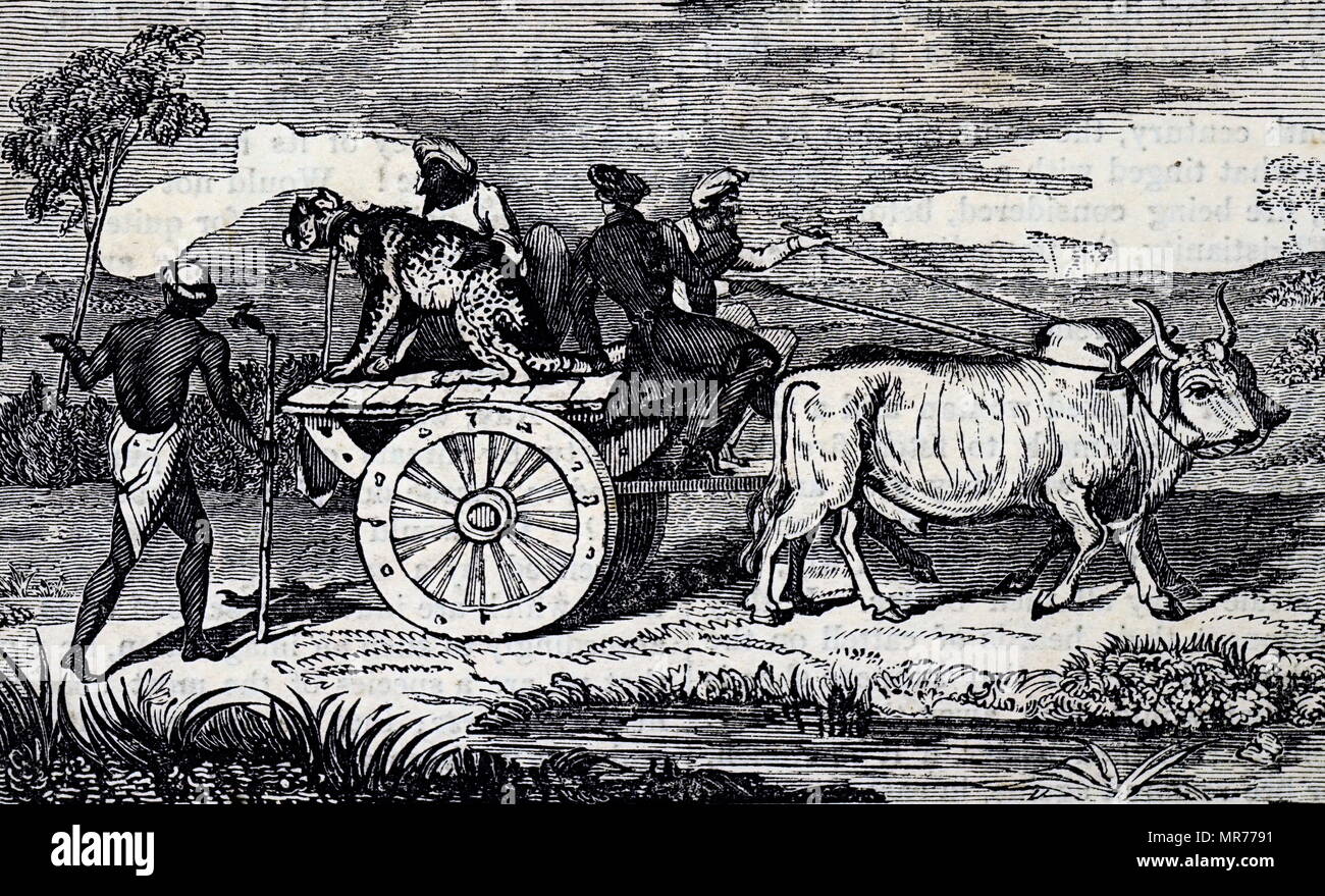 Engraving depicting hunters in India, the men are accompanied by a ...