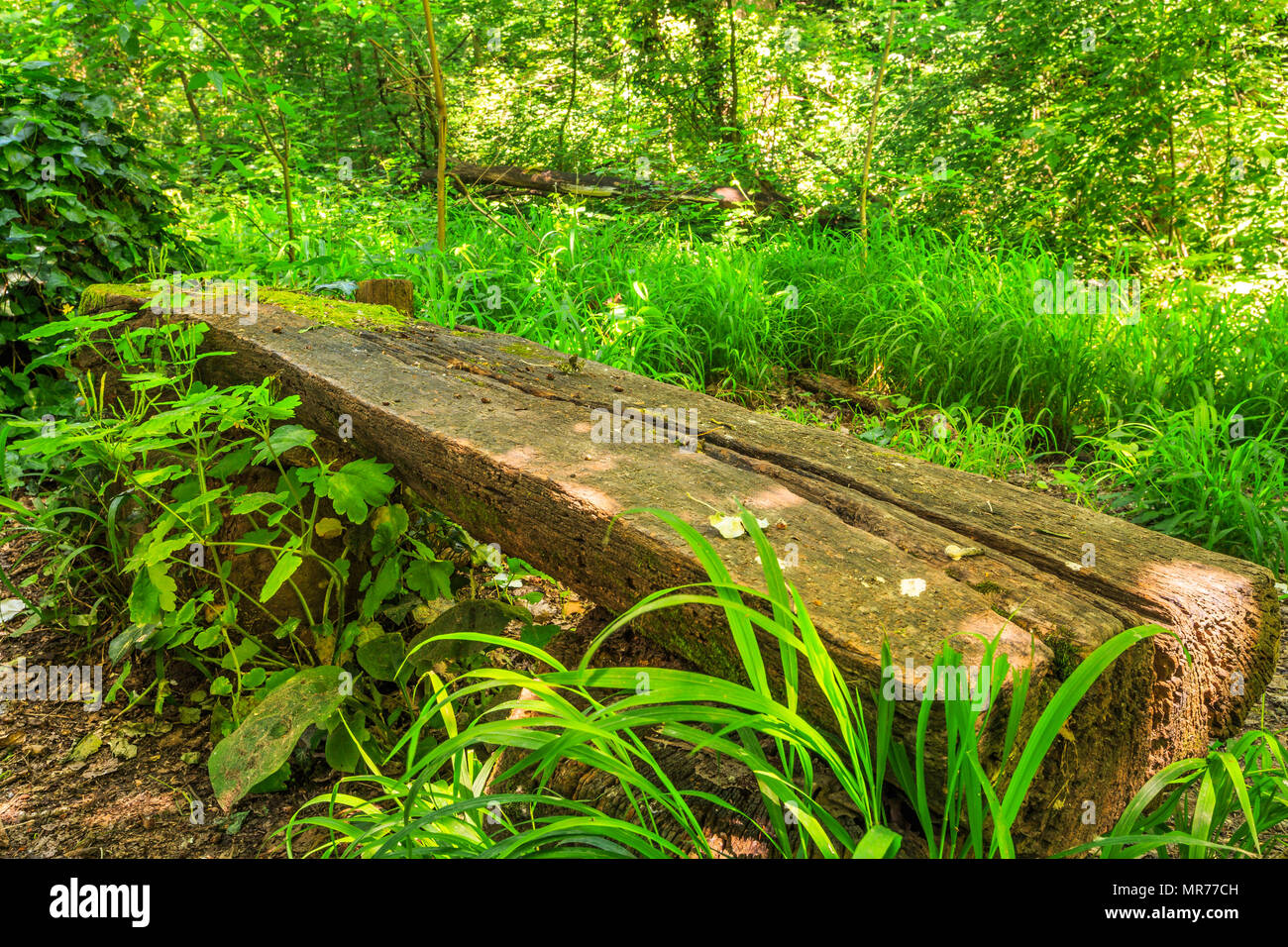 Wooden log bench hi-res stock photography and images - Alamy