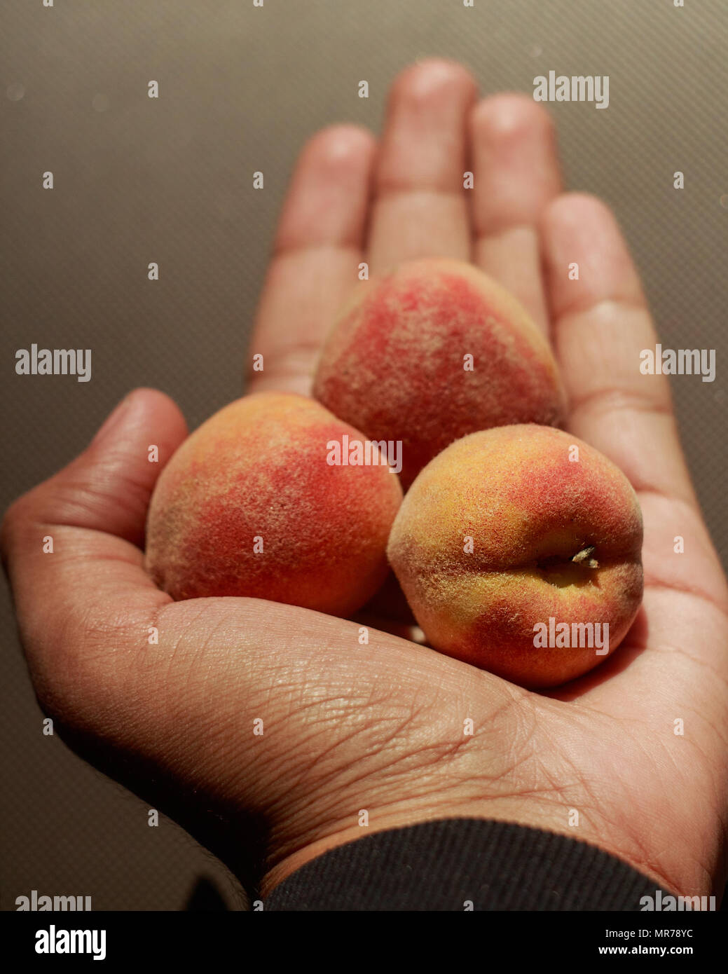 Peach palm hi-res stock photography and images - Alamy