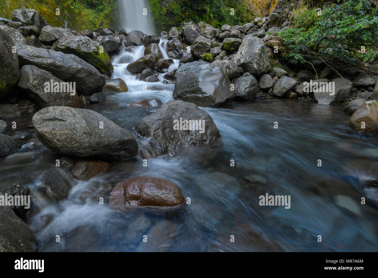 Oceania; New Zealand; Aotearoa; North Island, Mount Egmont, National ...