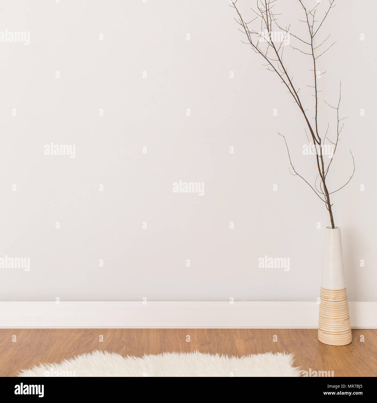 Little twig in vase standing alone in room on background of white wall ...