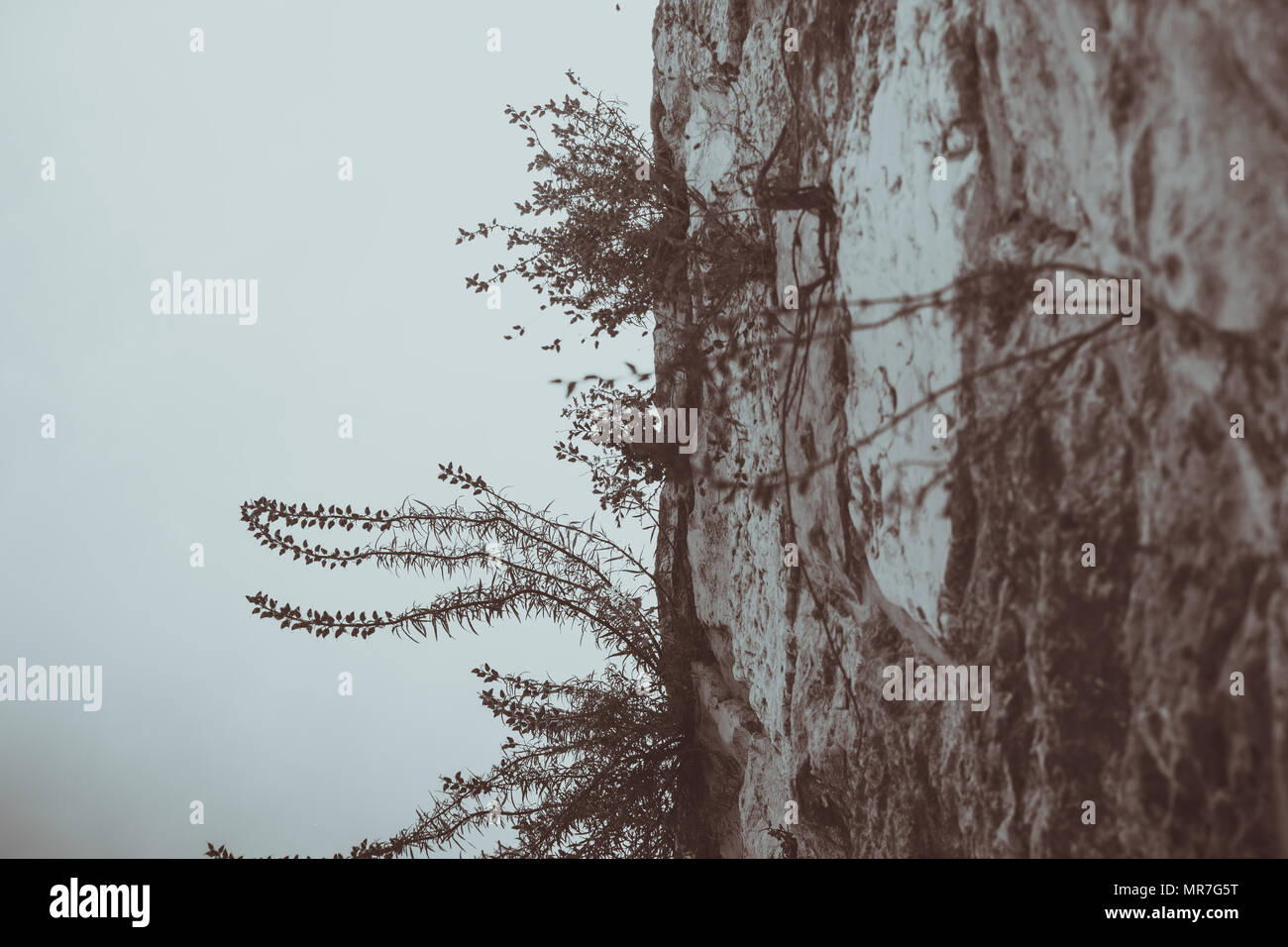 Low angle view of part of ancient stone wall Stock Photo - Alamy