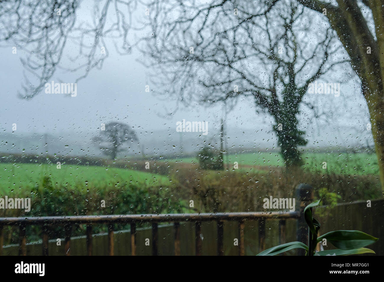Day of rain hi-res stock photography and images - Alamy