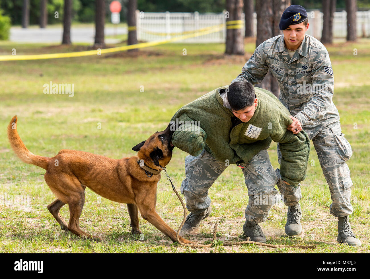 Military Working Dog Arko helps his handler, Staff Sgt. Michael ...