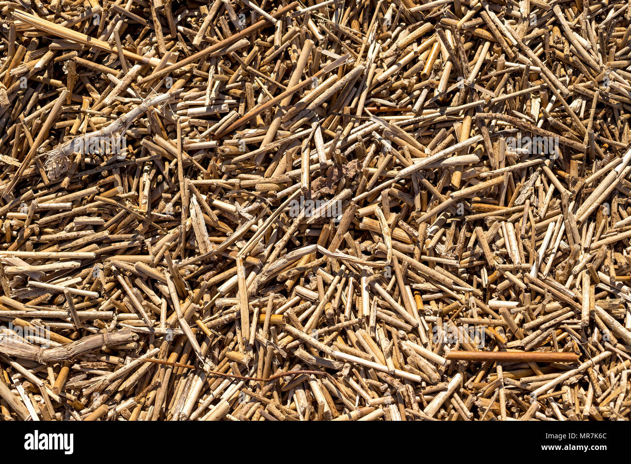 Reed Roof Texture High Resolution Stock Photography and Images - Alamy