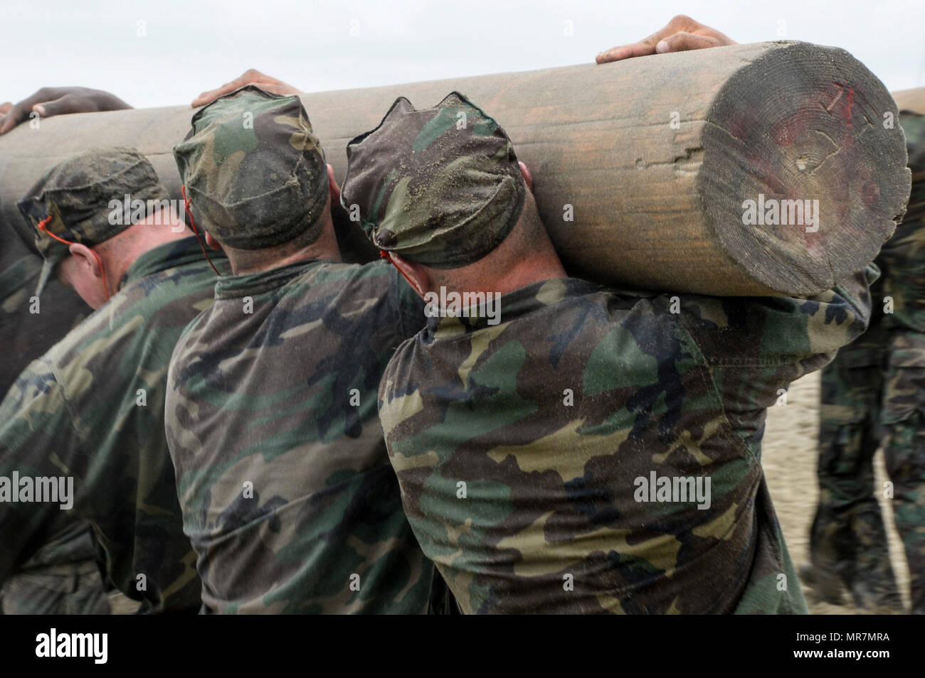 Bud S Training Stock Photos & Bud S Training Stock Images - Alamy