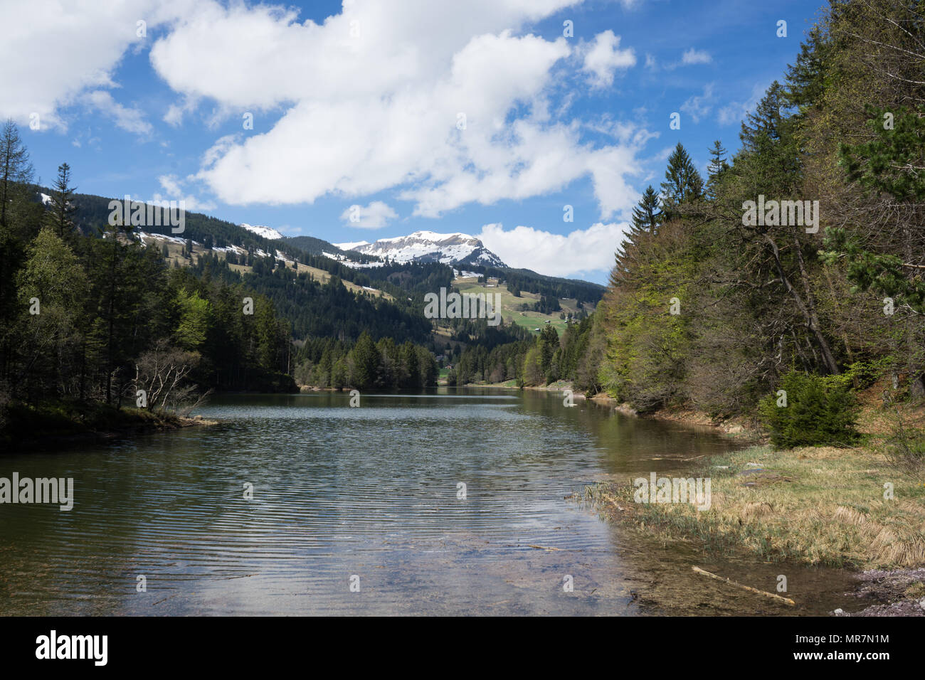 Swiss Chapfensee lake with mountains in background Stock Photo - Alamy