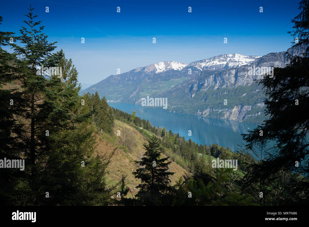Swiss alpine lake Walensee with mountains in bakground Stock Photo - Alamy