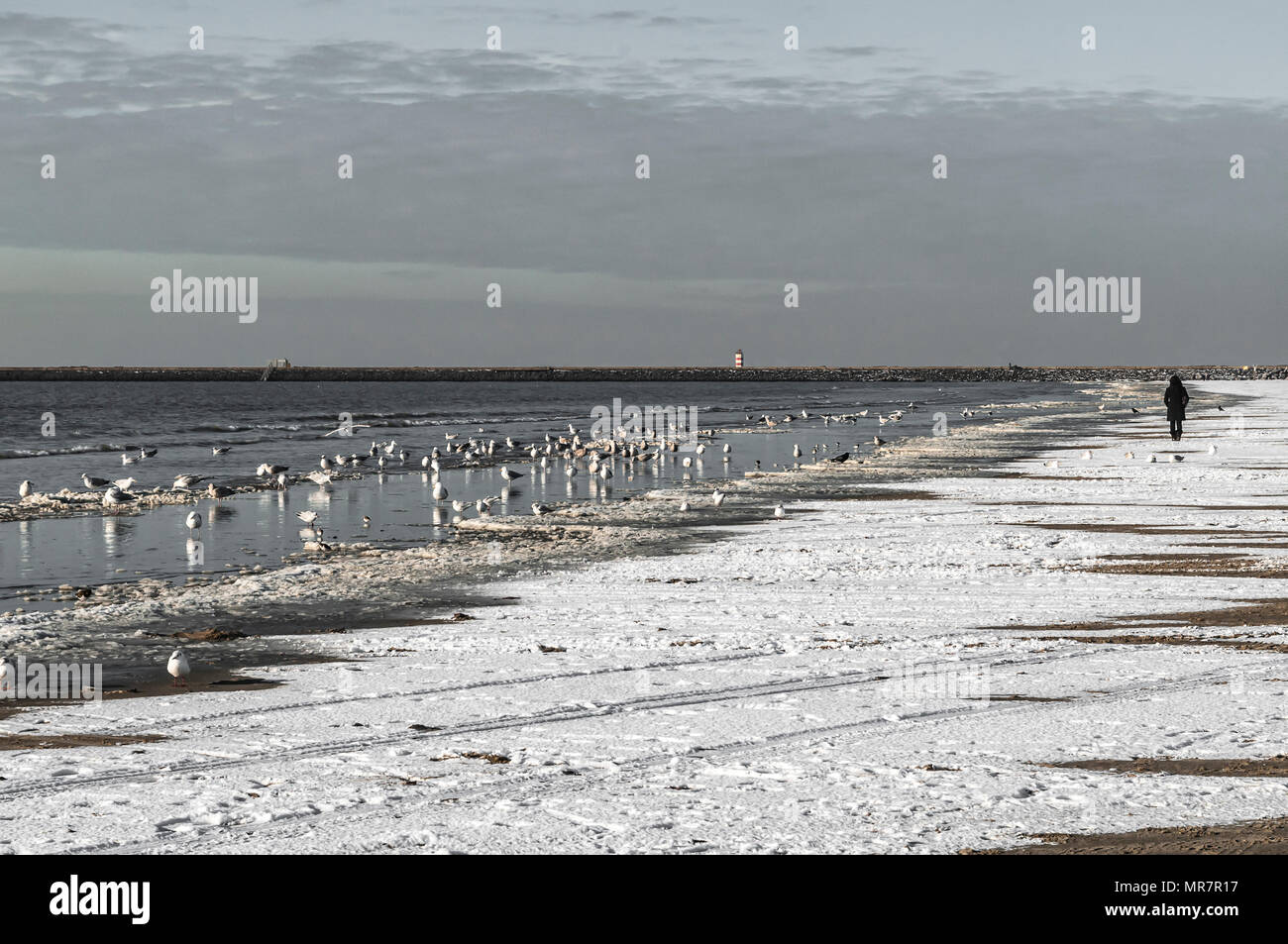 Woman winter beach walk hi-res stock photography and images - Alamy