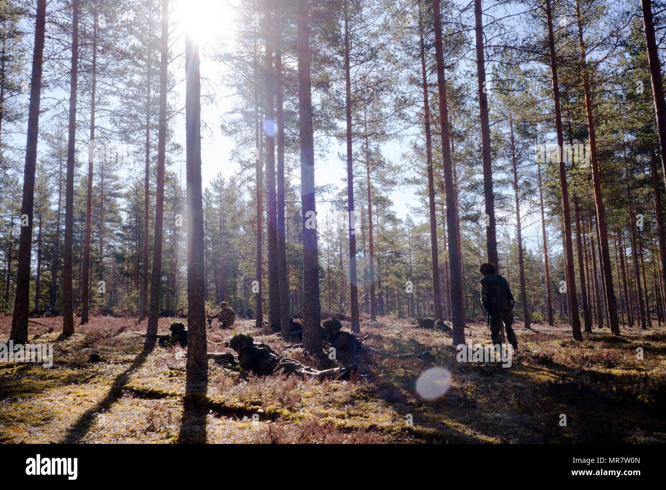 U.S. Soldiers of Apache Troop, 1st Squadron, 2nd Cavalry Regiment and ...