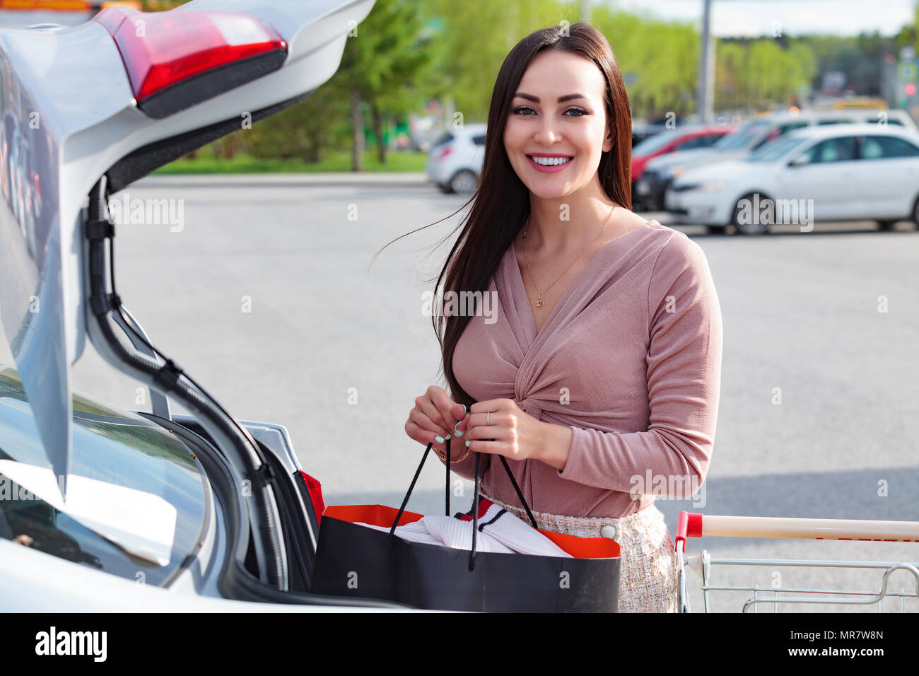 Shopping cart car trunk hi-res stock photography and images - Alamy