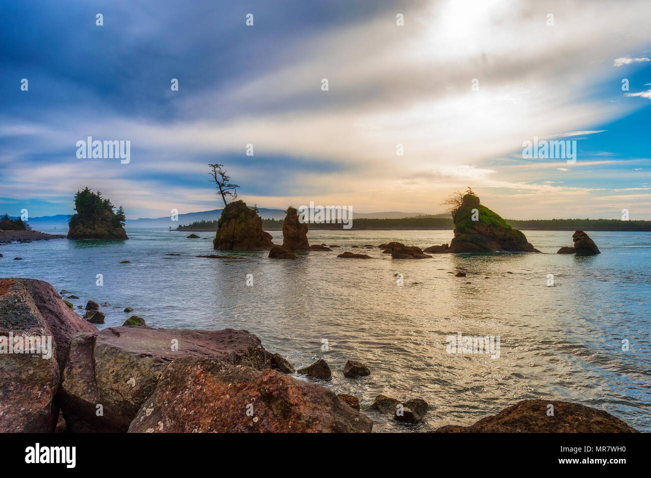 Intertidal rocks in Tillamook Bay near Wheeler, Oregon on the Oregon ...
