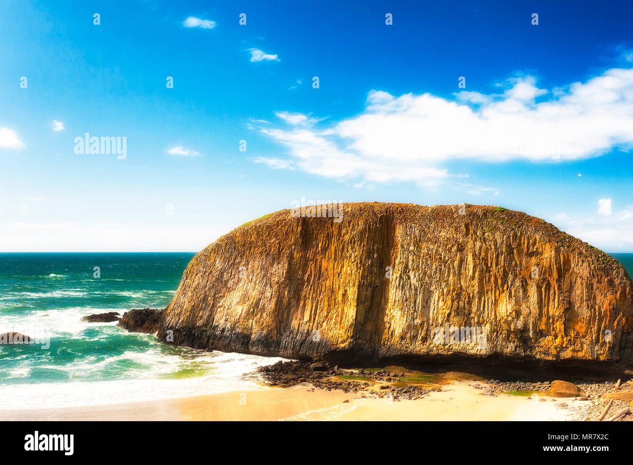 Seal rocks beach hi-res stock photography and images - Alamy