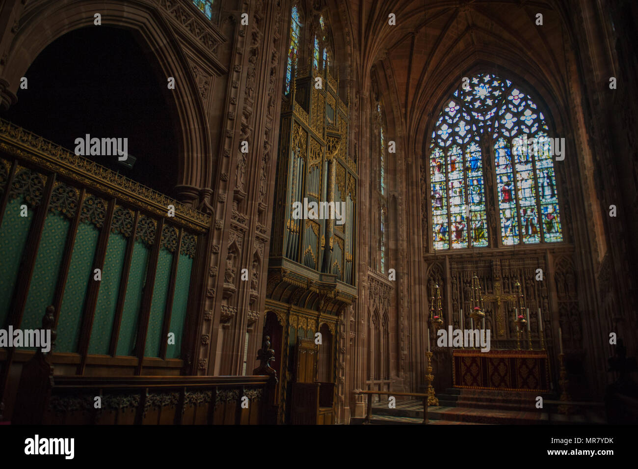 Needwood forest hi-res stock photography and images - Alamy