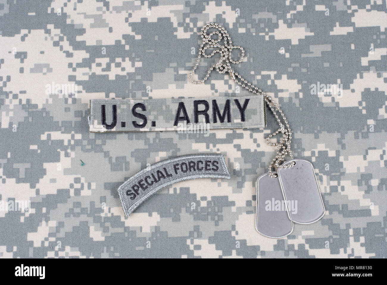 KIEV, UKRAINE - August 21, 2015. US ARMY special forces tab with dog ...