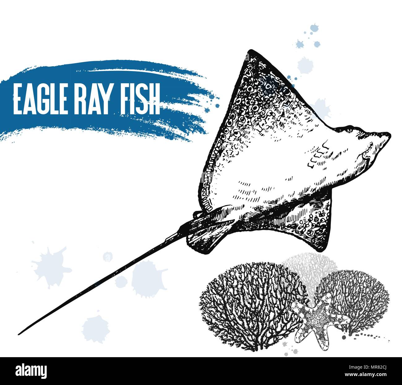 Hand drawn sketch style eagle ray isolated on white background. Vector ...