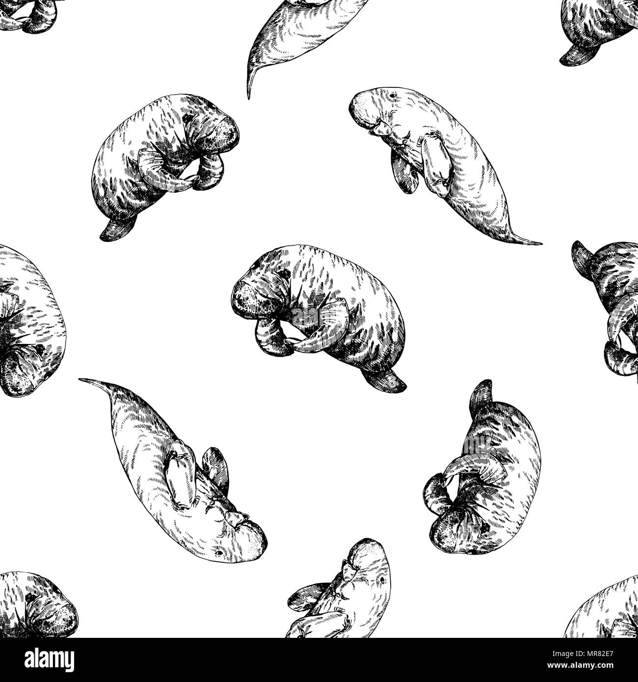 Seamless pattern of hand drawn sketch style manatees isolated on white ...