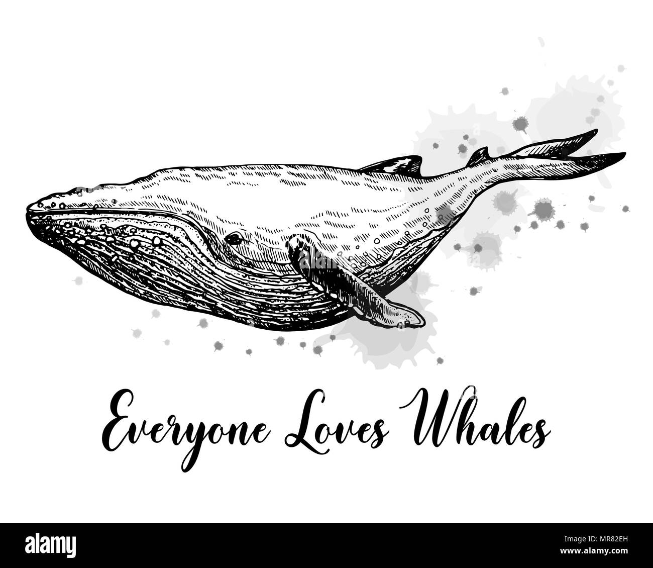 Hand drawn sketch style whale isolated on white background. Vector ...