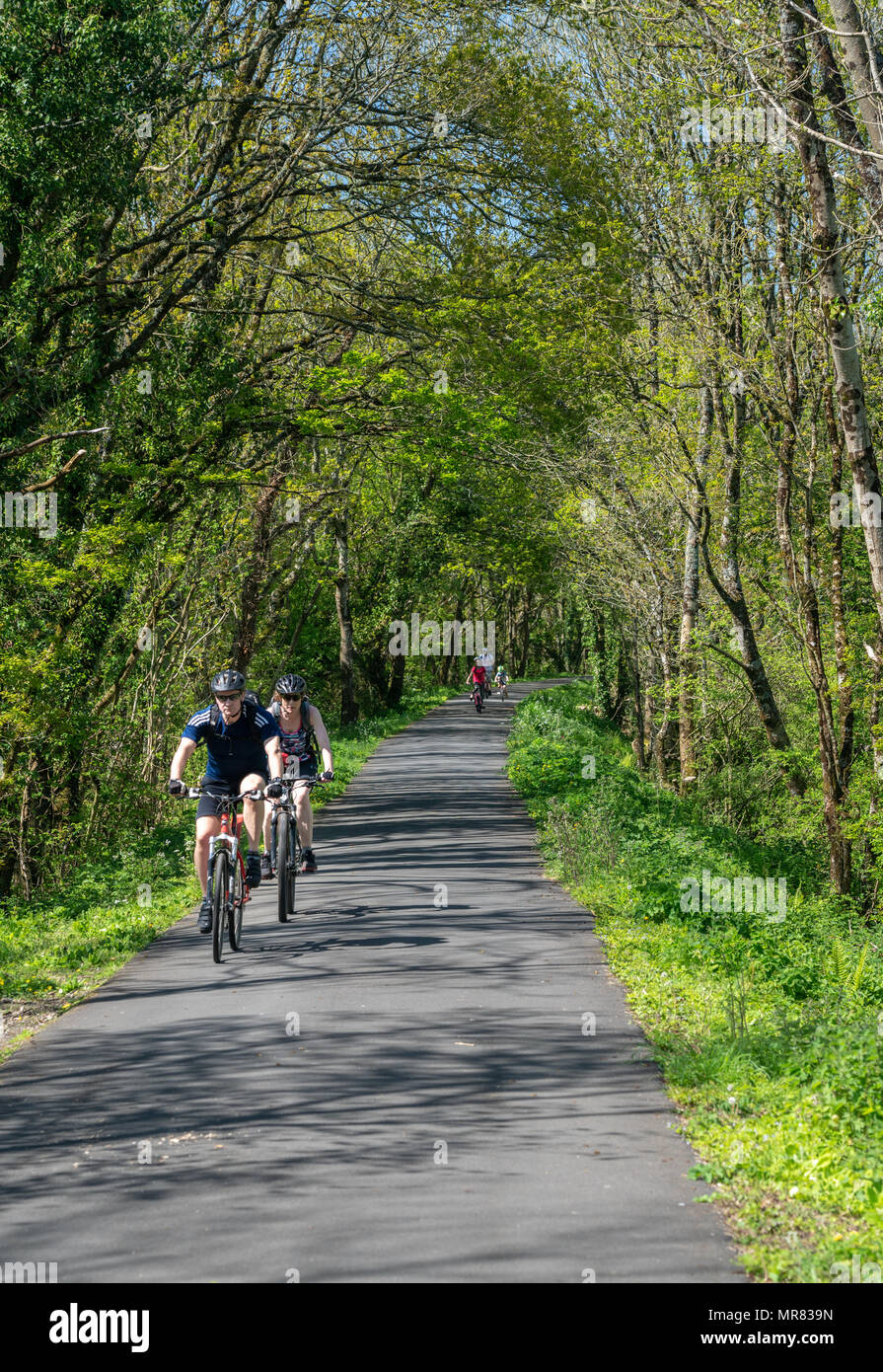 Couple riding bikes on the Tarka Trail in Devon Stock Photo - Alamy